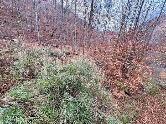 100 Acres with 2-Bedroom Home in Kimper, Kentucky - Segem Ders Notları