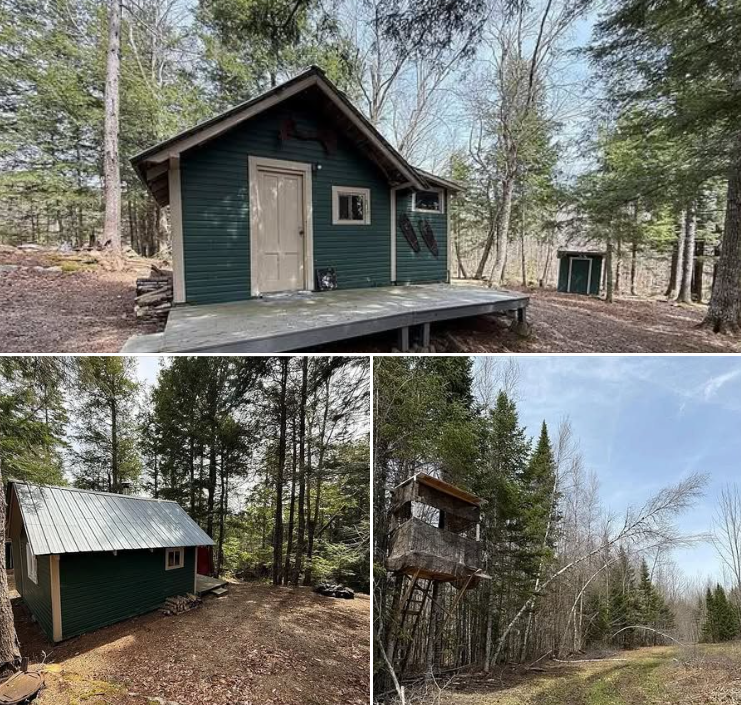 Secluded 1-Bedroom Off-Grid Camp on 71 Acres in Canterbury, New ...