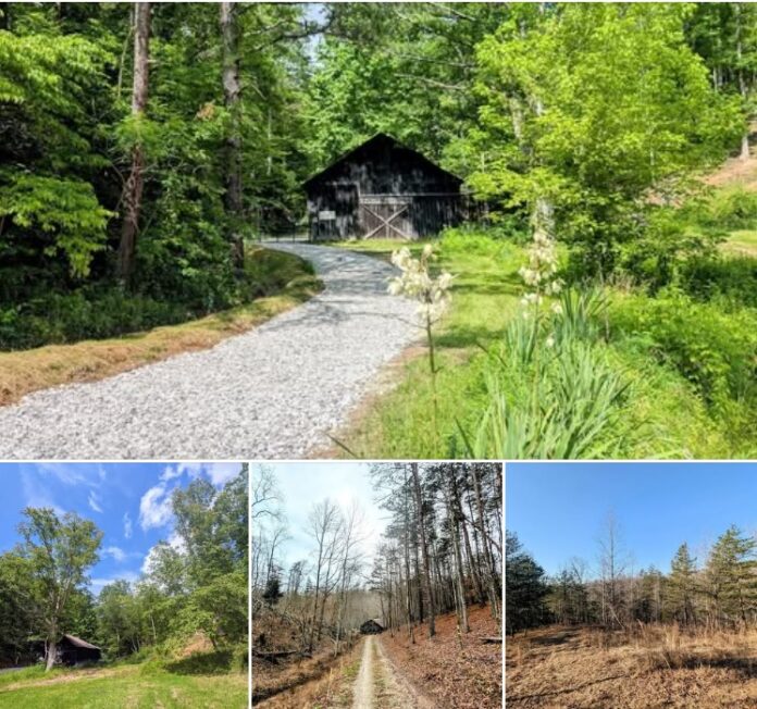 Historic 100-Year-Old Cabin with Barn, Trails, and Mountain Views ...